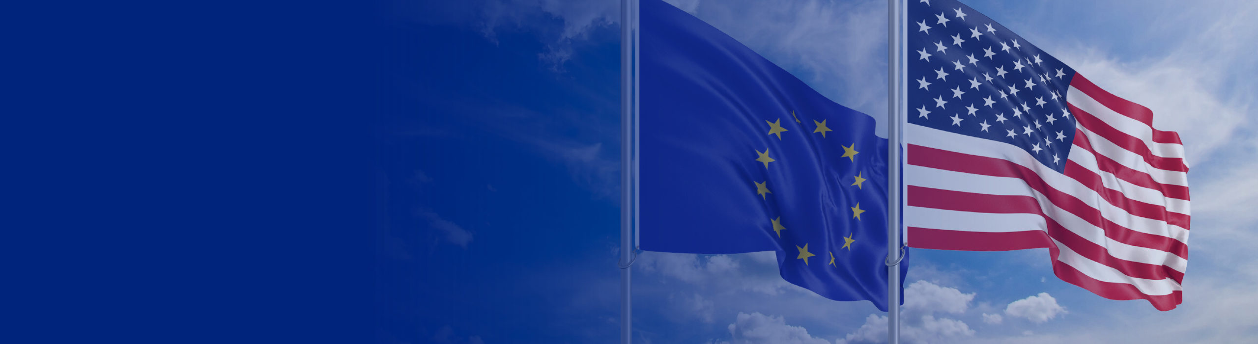 Digital Deep Dive: Unlocking the Potential of Transatlantic Cooperation ...