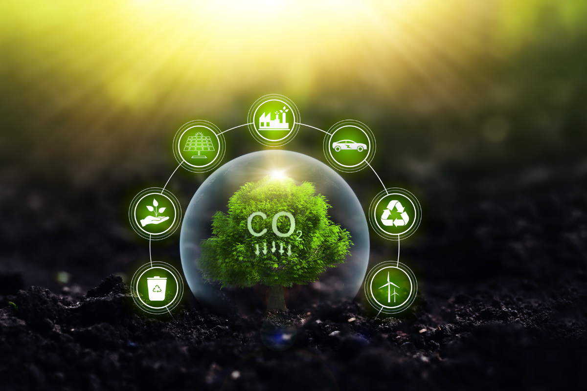 European Green Digital Coalition Pilot Project delivers methodologies ...